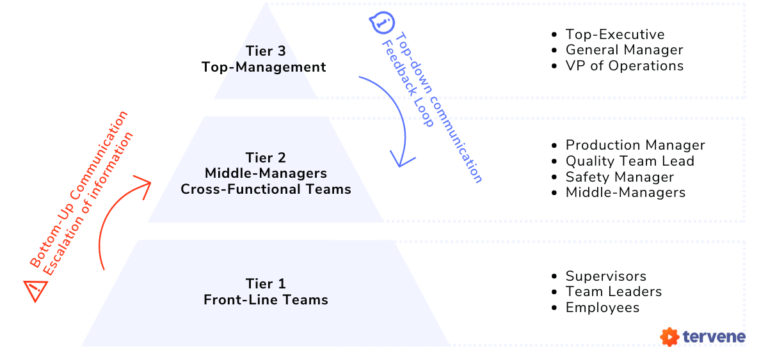 Daily Management System (DMS): From Basics to Launch
