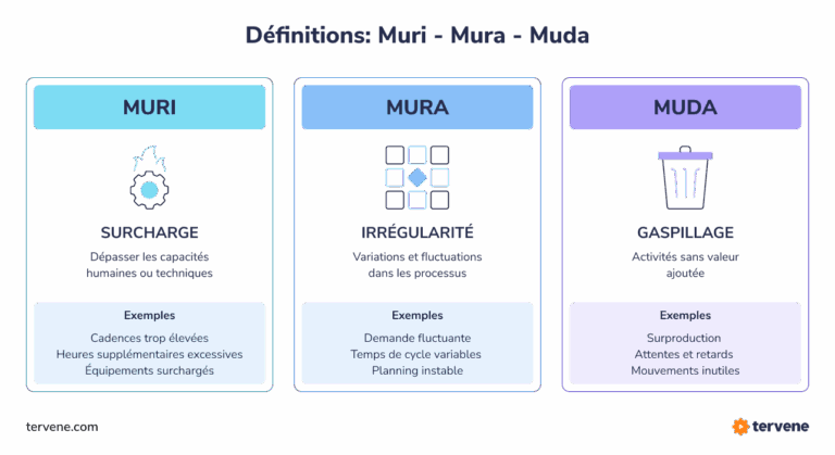 Muri, mura, muda : définition, exemples et applications